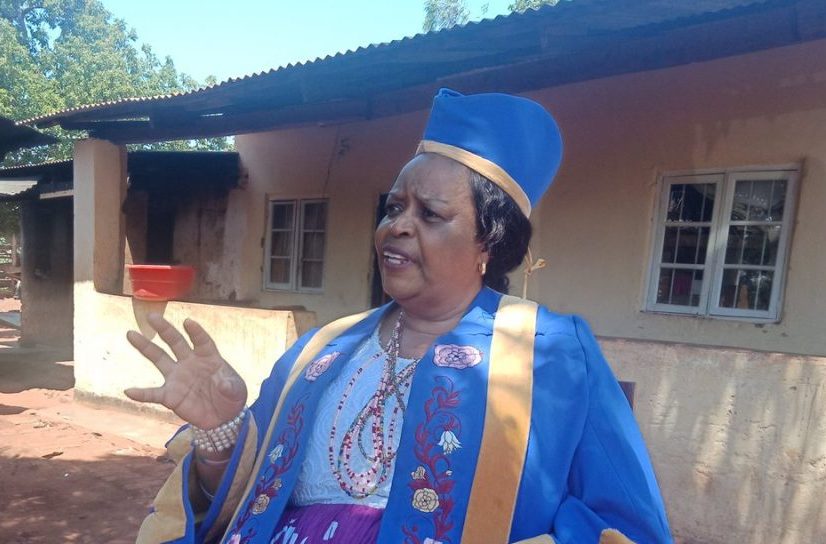 Meet our Board members - CAMFED