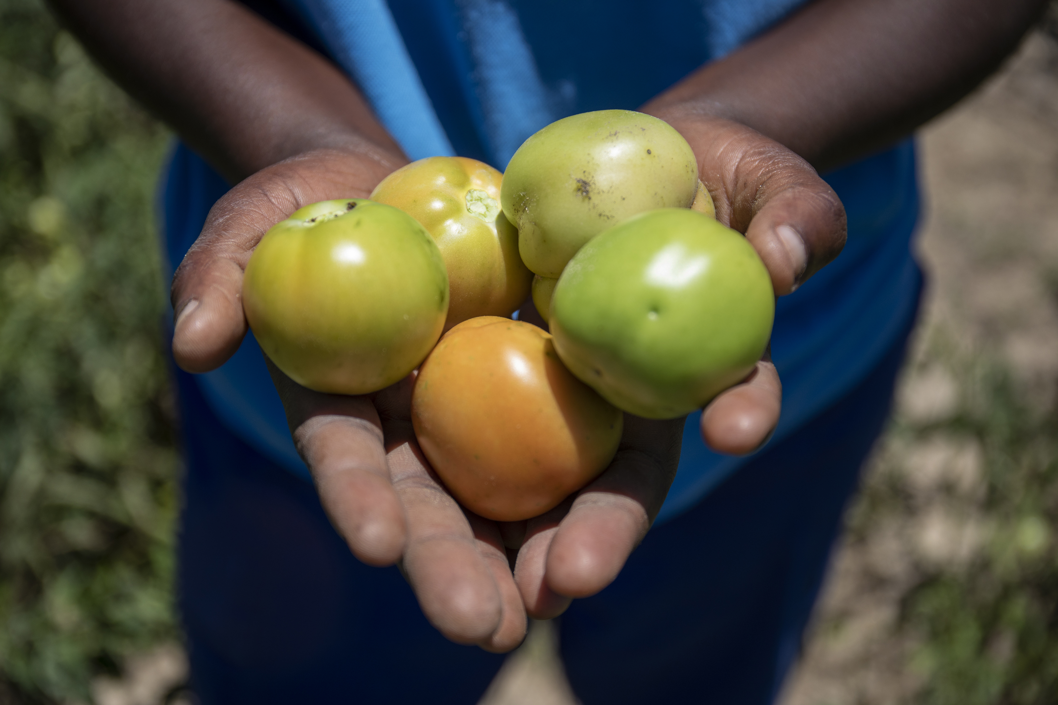 New research reveals the impact of African women climate leaders